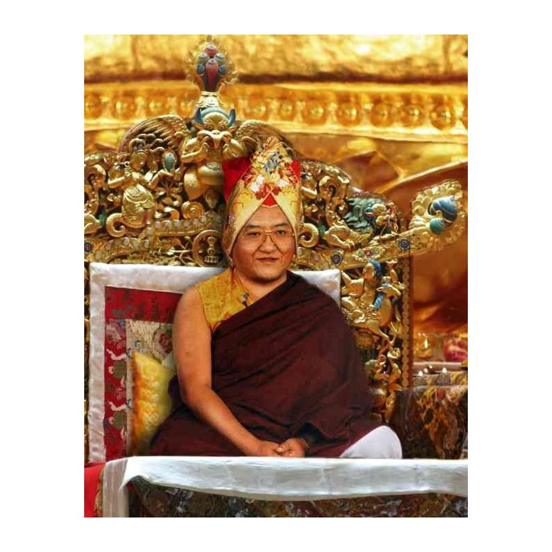 Kyabgon Gongma Trichen Rinpoche Sakya hat