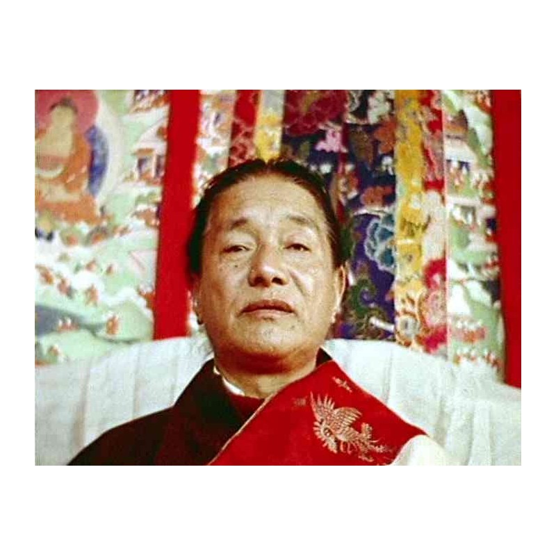 Dudjom Rinpoche's GazePhoto 6 sizes